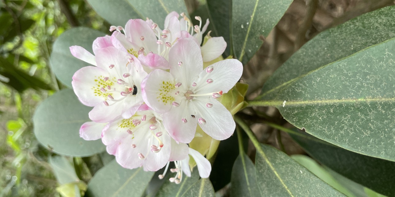 The Unstoppable YOU | Copeland Center