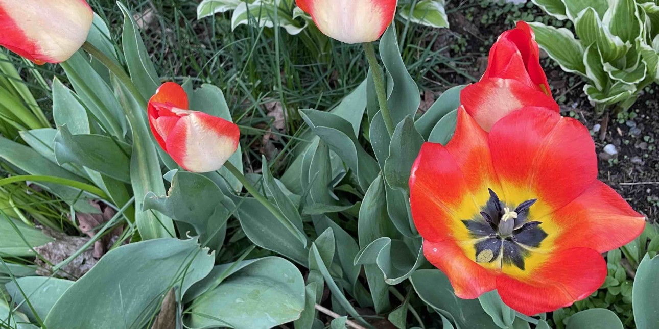 Communication: Healthy Boundaries - Online Course - Aug 2024 | Copeland ...